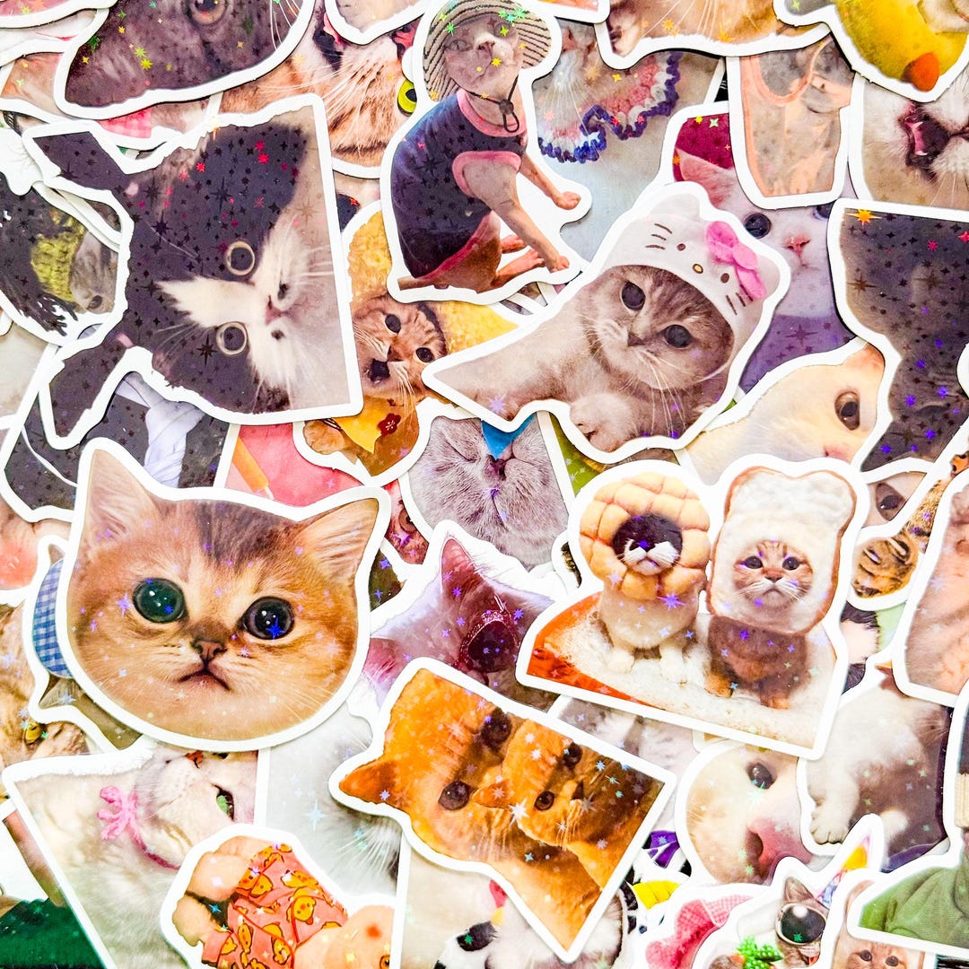 200PCS Cut Cat Sticker Pack, Kawaii Stickers, Ins Stickers, Laminated ...