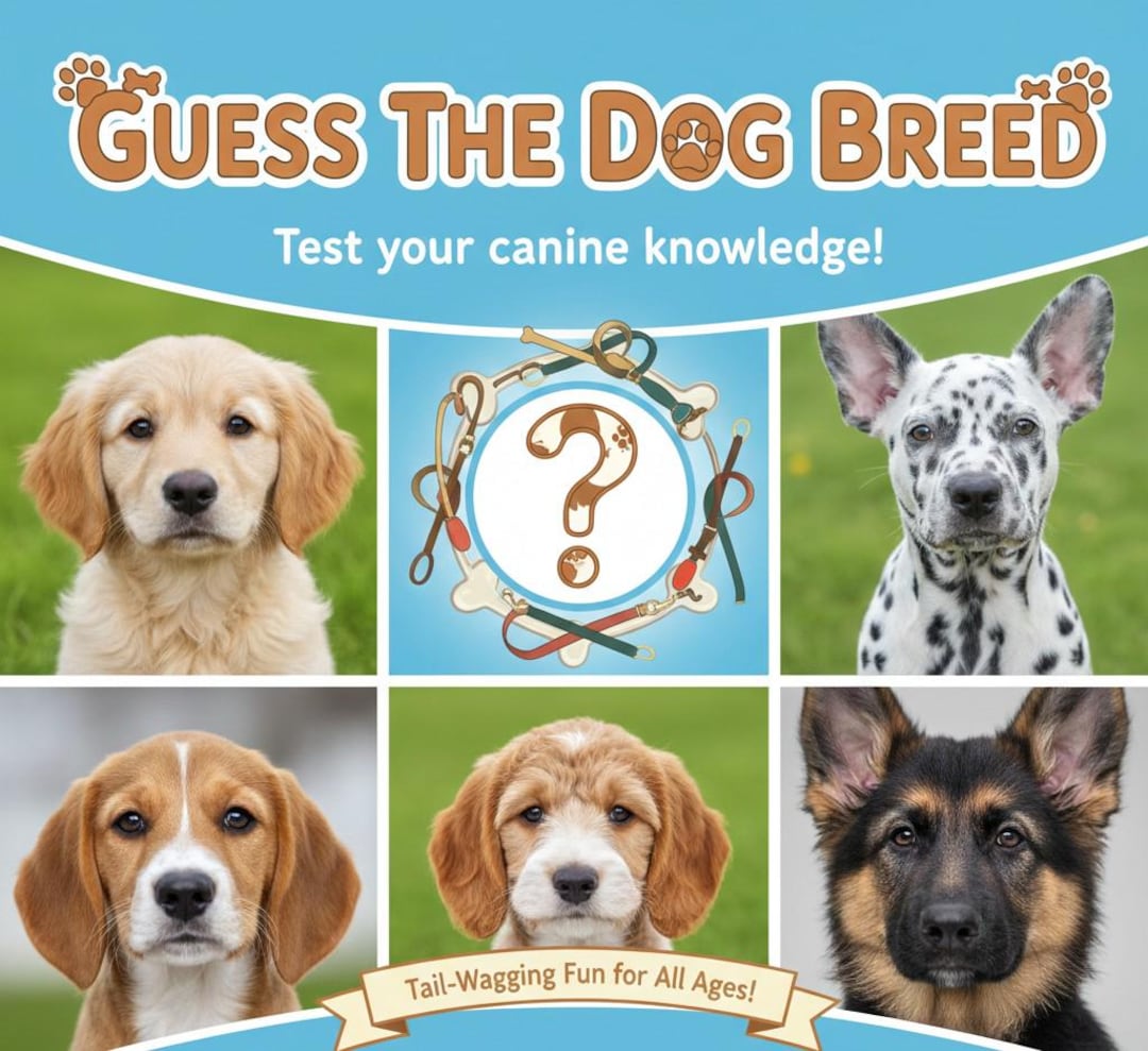 Guess the Dog Breed Ebook, Canine Trivia & Photo Challenge (digital ...