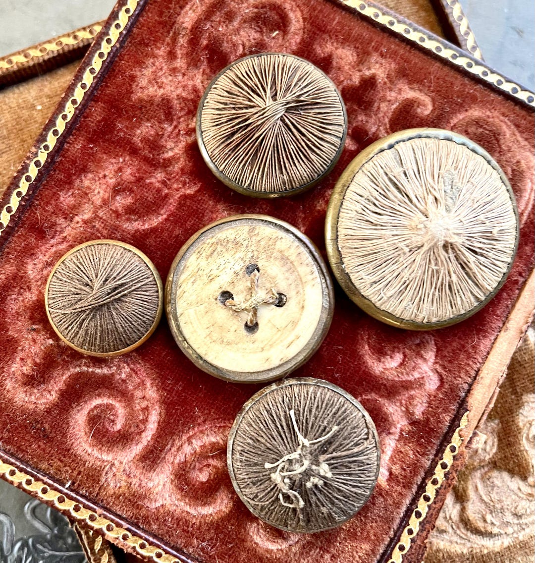 Antique Thread Back Buttons Bone Greek Goddess Shell Celluloid ...
