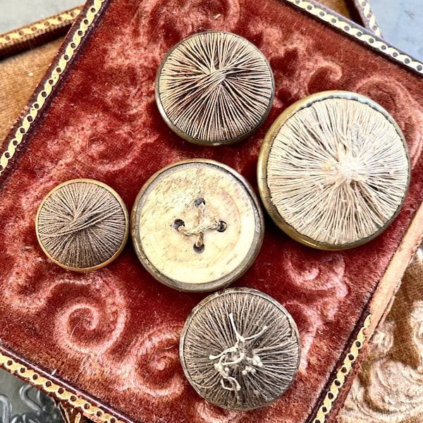 Rare Antique Buttons - Etsy