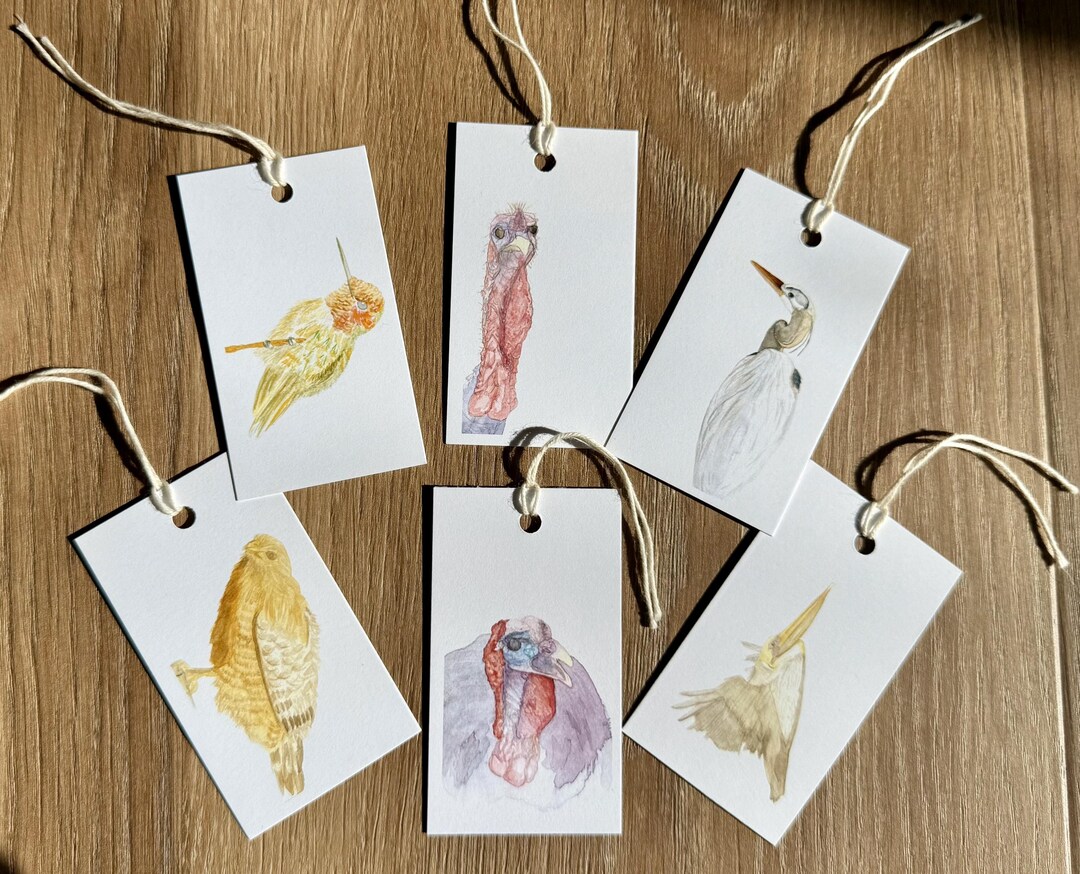 Watercolor Bird Gift Tags - Set of 6 Handmade Nature Art - Etsy
