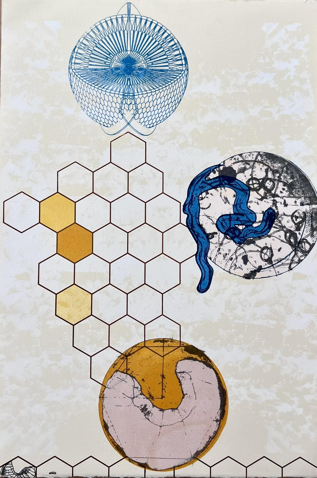 Honey Bee Biology Screen Print – Entomology Art, Scientific ...