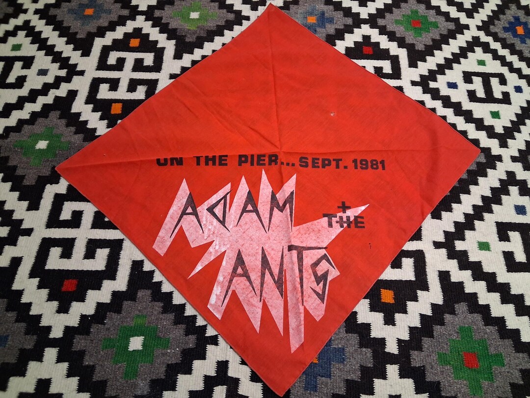 Vintage 1981 Adam and the Ants Punk Rock Concert Tour Music Fan on the ...