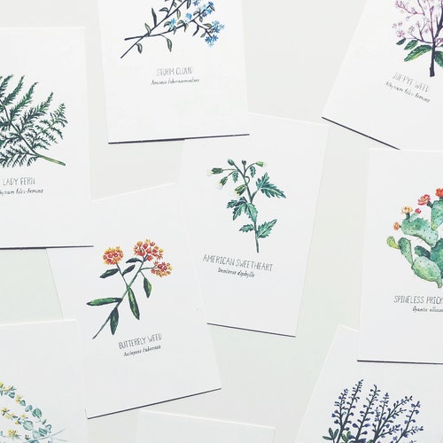 North American Plant 4x6 Postcard Pack 12 Plants - Etsy