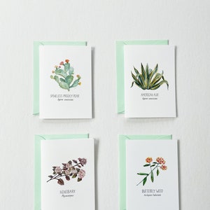 North American Plant Cards pack of 4 or Single - Etsy