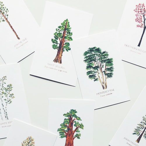 North American Trees 4x6 Postcards 12 Pack | Etsy