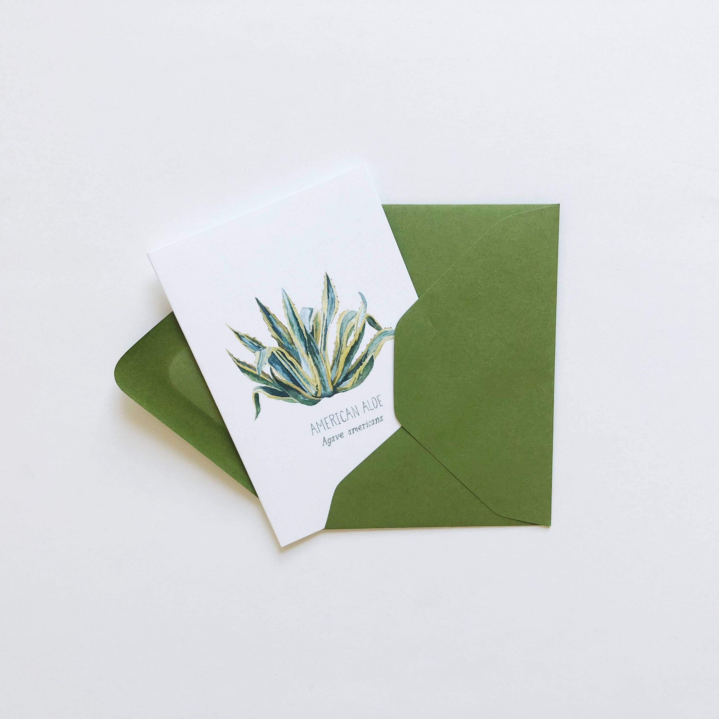 North American Plant Cards Pack of 4 or Single | Etsy