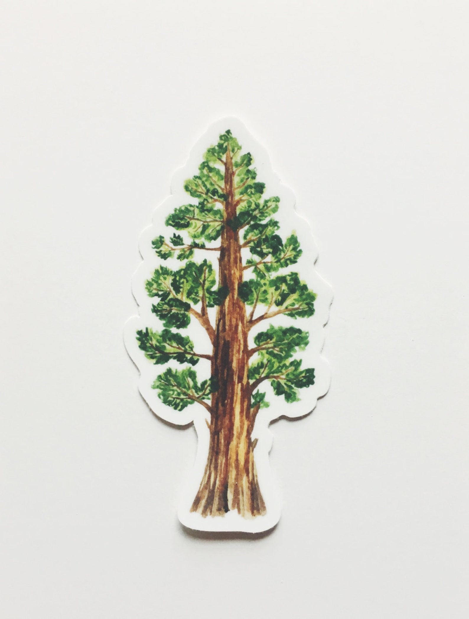 Sequoia Tree Die-cut Window Decal - Etsy