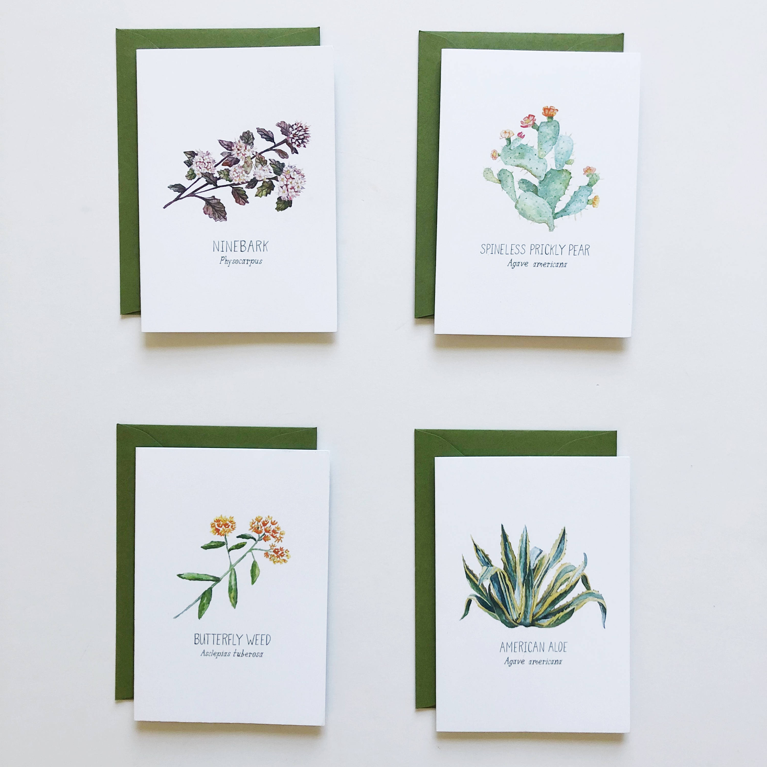 North American Plant Cards Pack of 4 or Single | Etsy