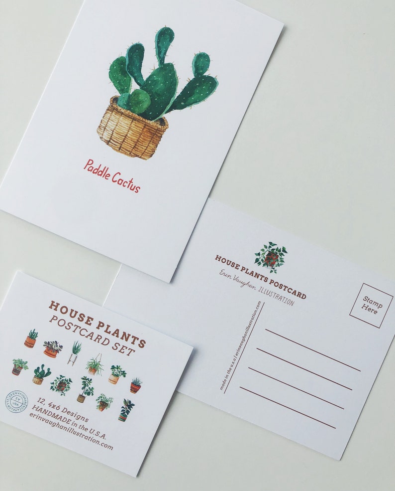 House Plant Postcard Pack of 12 4x6 Size - Etsy