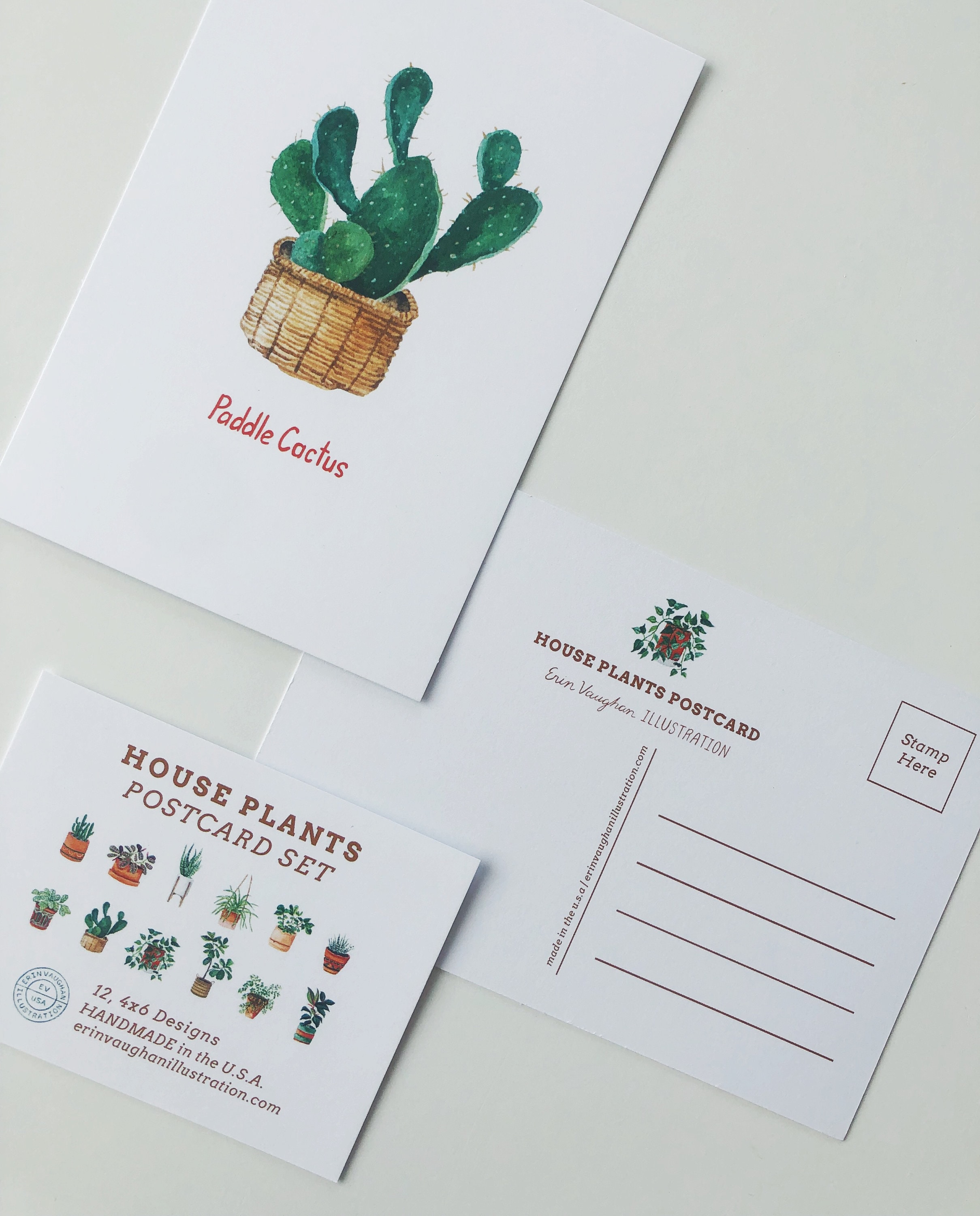 House Plant Postcard Pack of 12 4x6 Size - Etsy