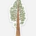 Yosemite Sticker Pack - Etsy