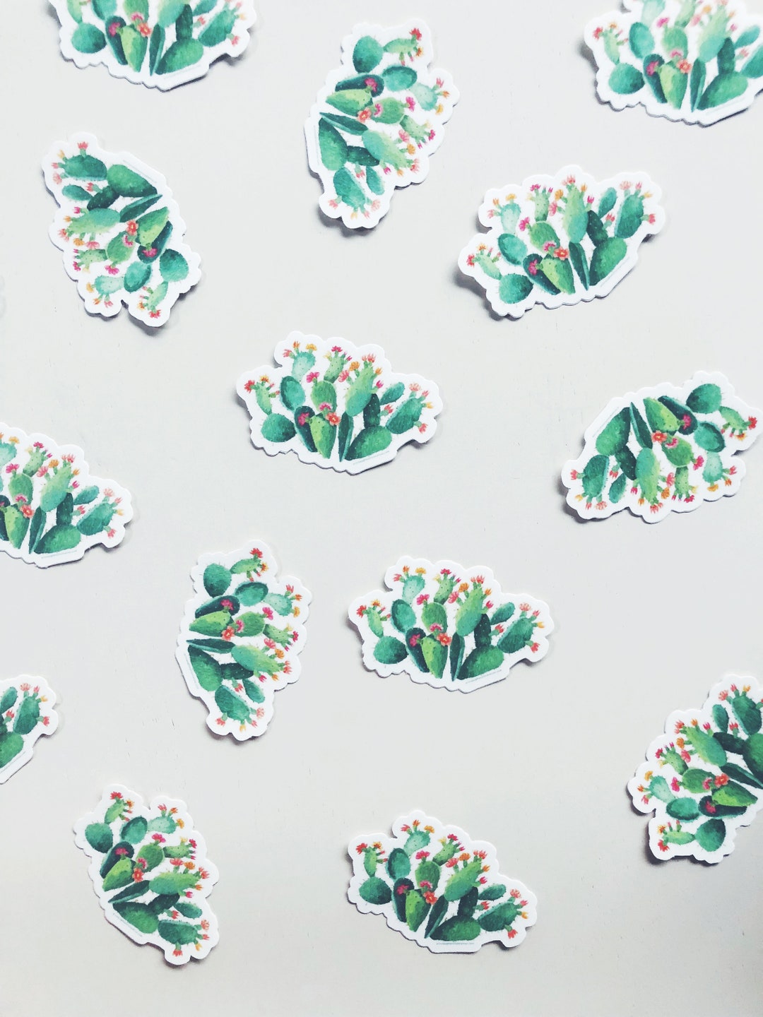 Prickly Pear Sticker - Etsy