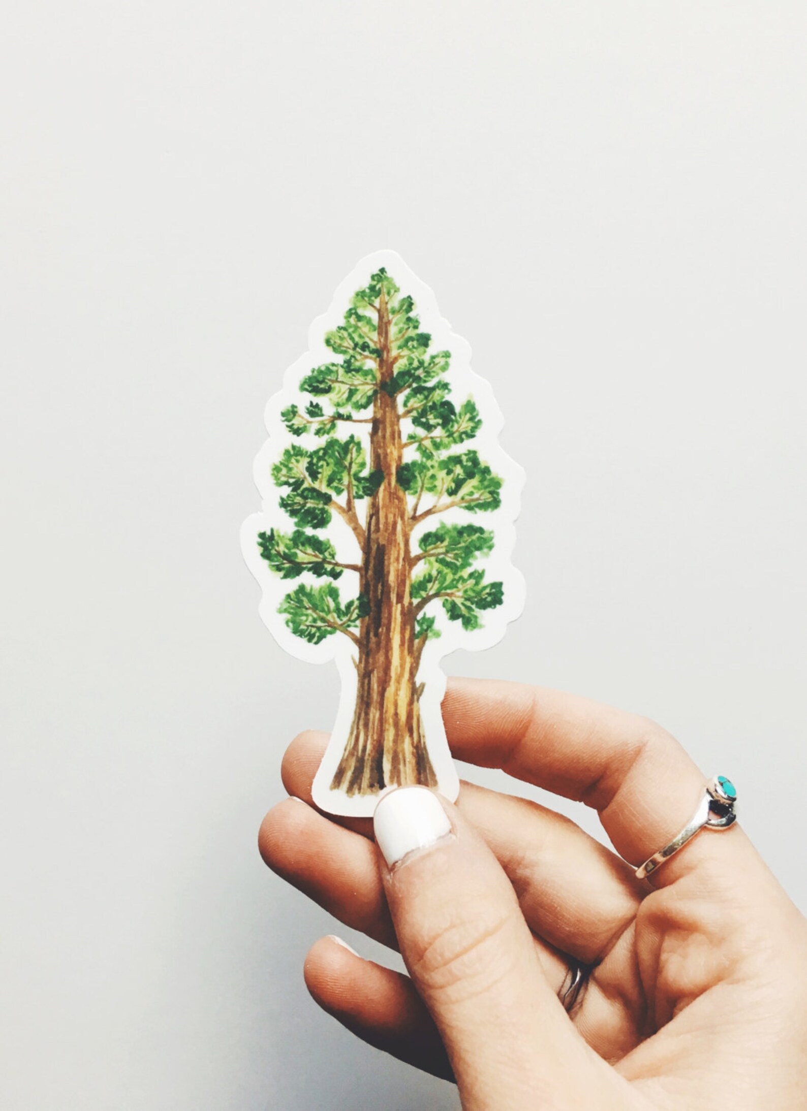 Sequoia Tree Die-cut Window Decal - Etsy