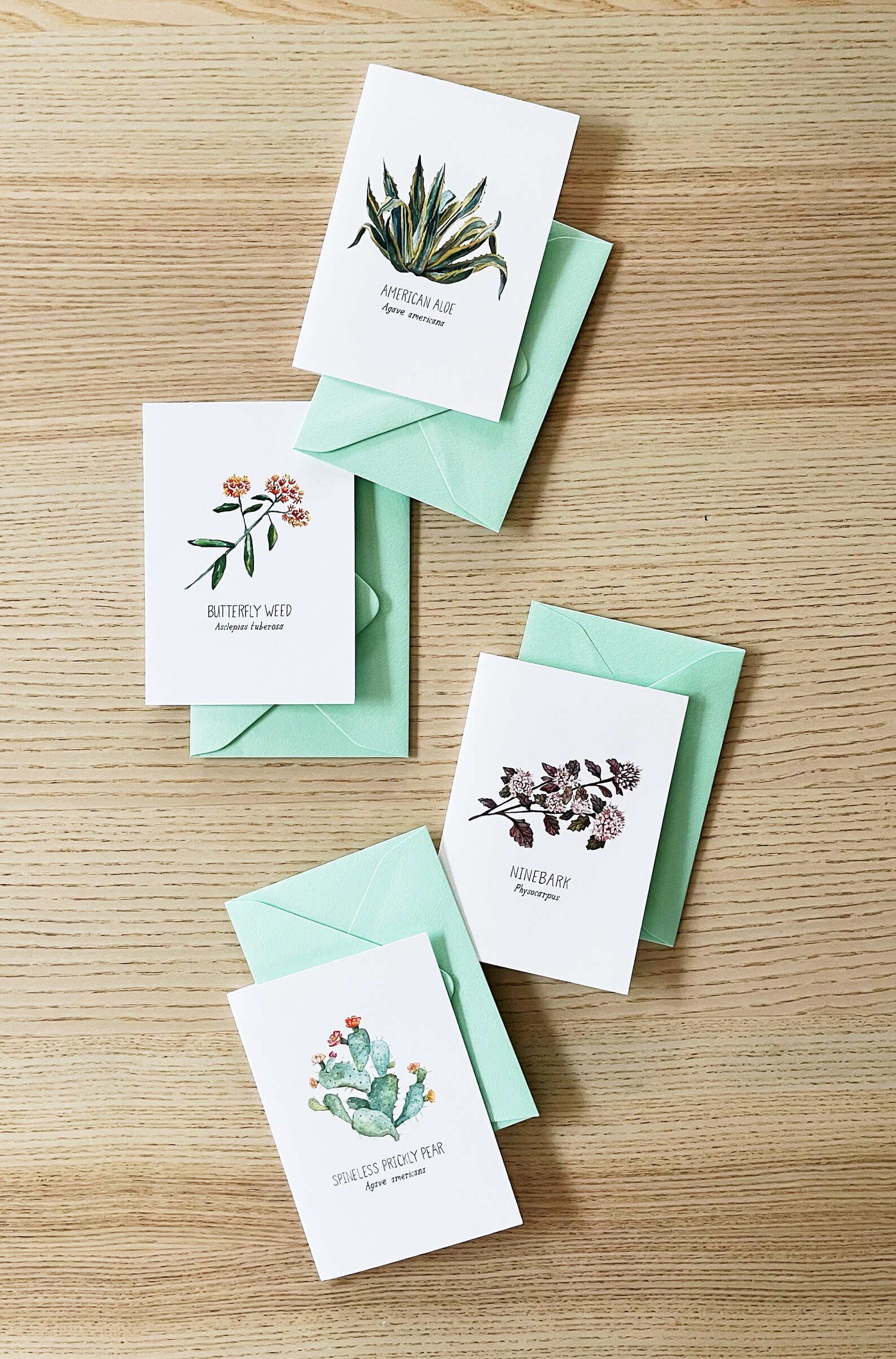 North American Plant Cards pack of 4 or Single - Etsy