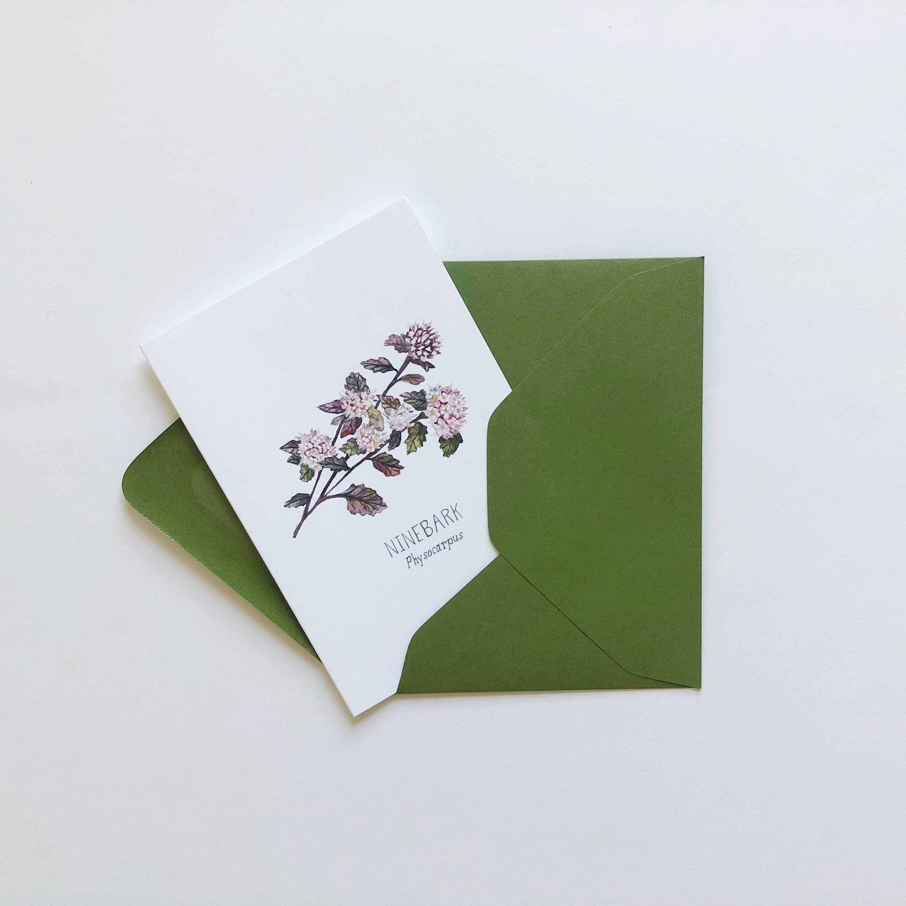 North American Plant Cards Pack of 4 or Single | Etsy