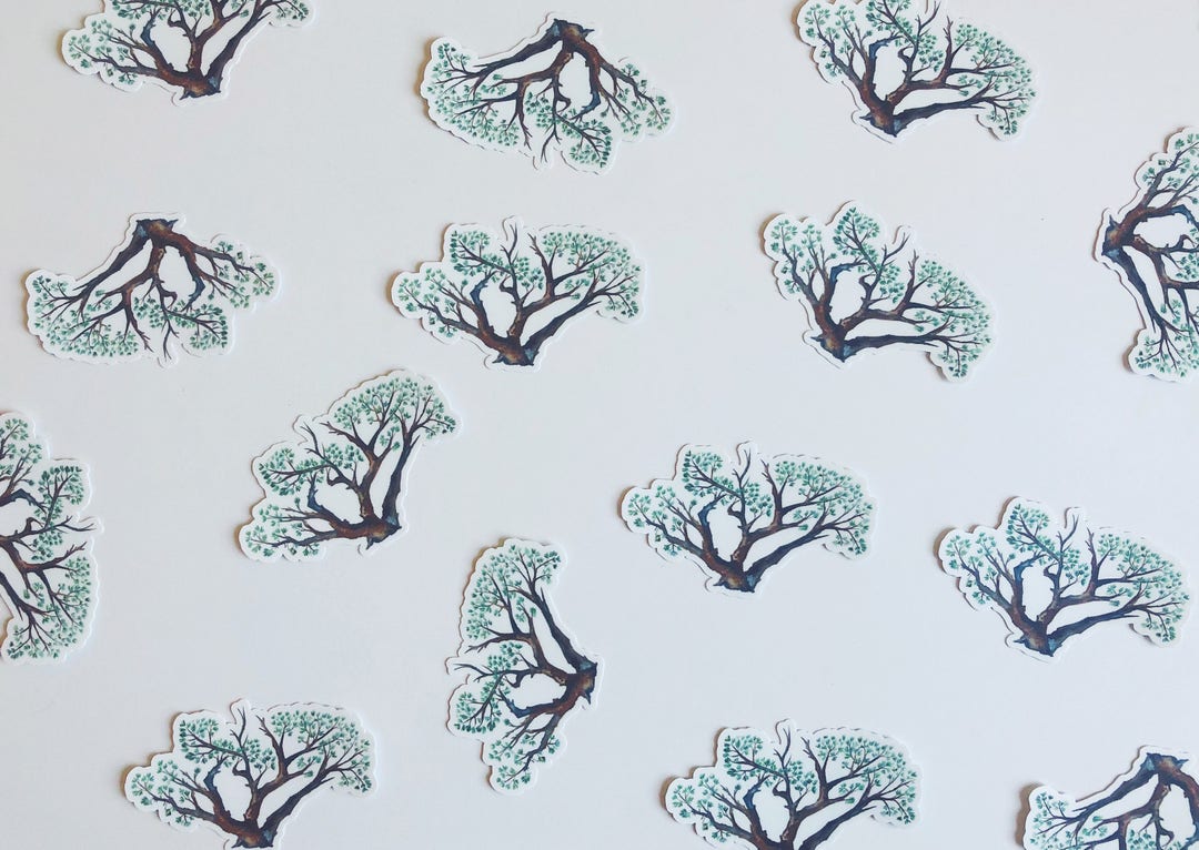 Pinyon Pine Die-cut Sticker - Etsy