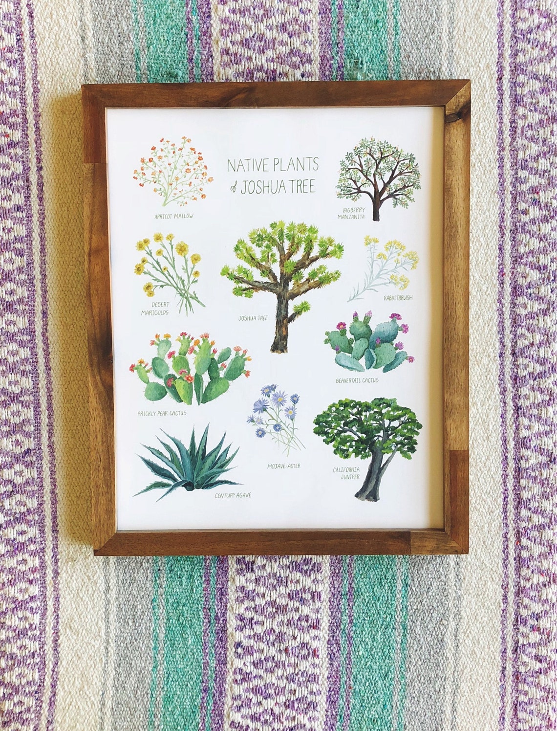 Native Plants of Joshua Tree -11x14 Print - Etsy