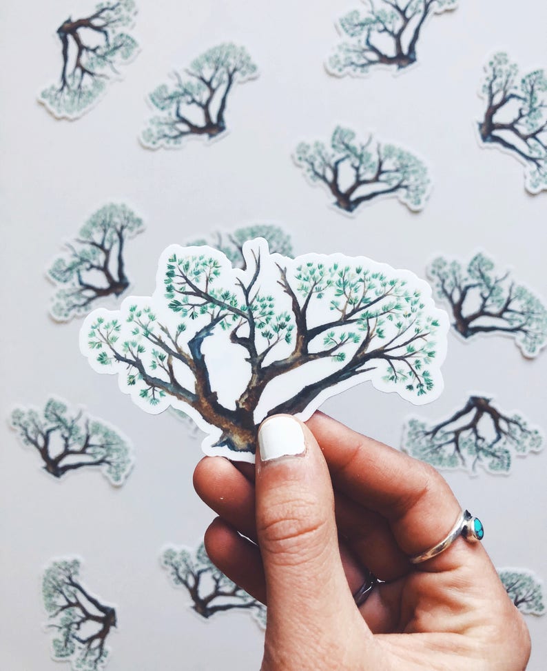 Pinyon Pine Die-cut Sticker - Etsy