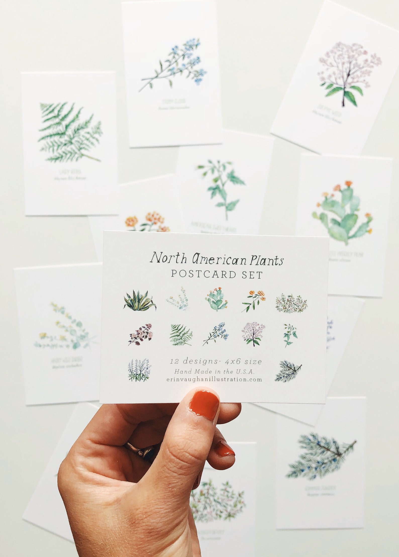 North American Plant 4x6 Postcard Pack (12 Plants) - Etsy