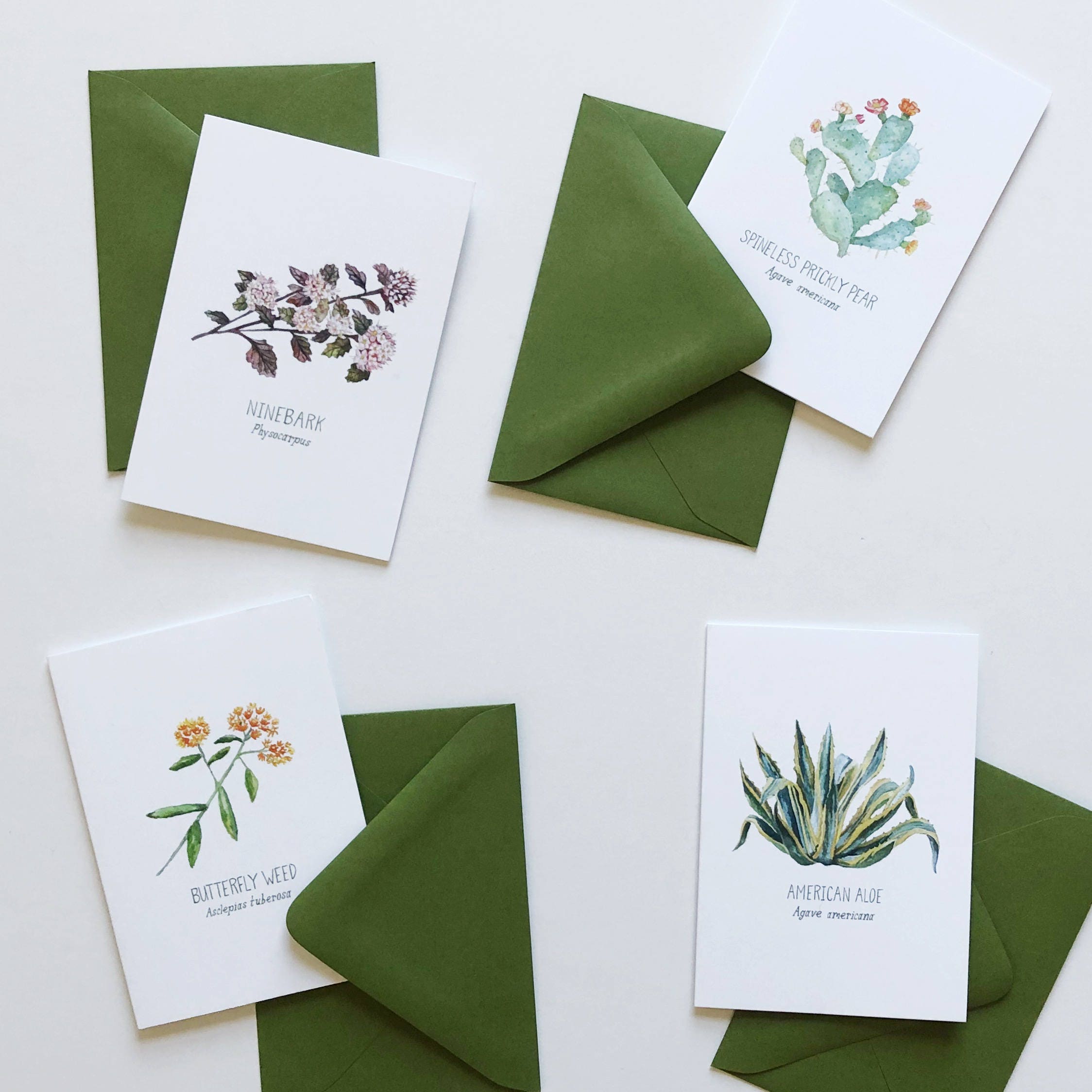 North American Plant Cards Pack of 4 or Single | Etsy