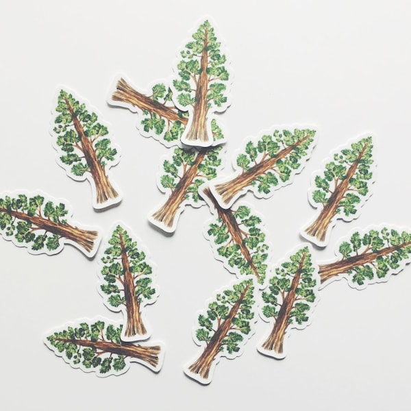 Tree Die Cuts - Etsy