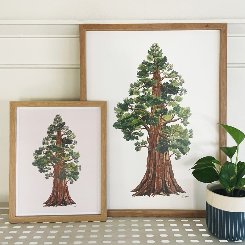 Sequoia Tree Print: Large Gouache Painting on Matte Paper (18x24) - Etsy