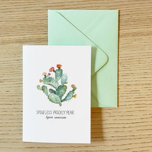 North American Plant Cards pack of 4 or Single - Etsy
