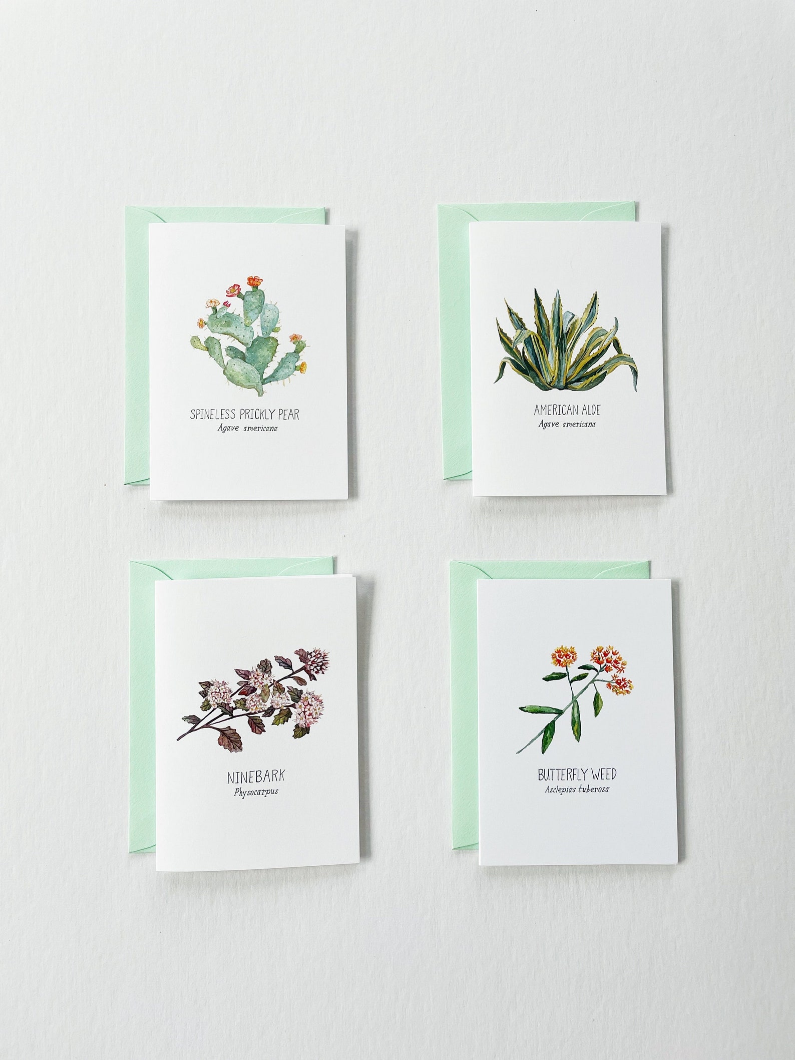 North American Plant Cards pack of 4 or Single - Etsy