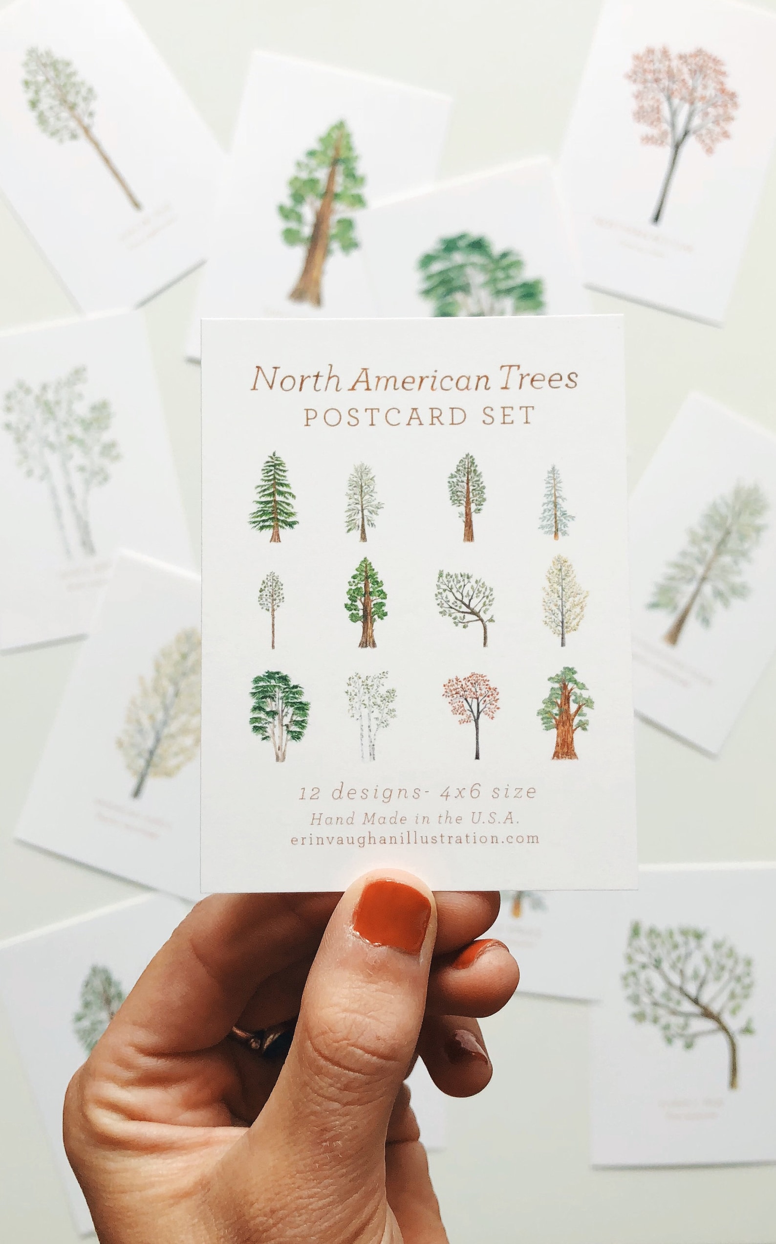 North American Trees 4x6 Postcards 12 Pack | Etsy