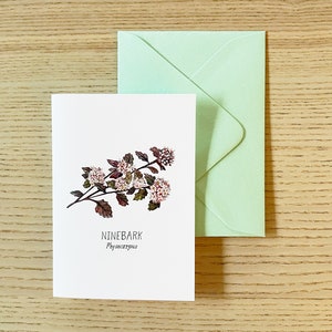 North American Plant Cards pack of 4 or Single - Etsy