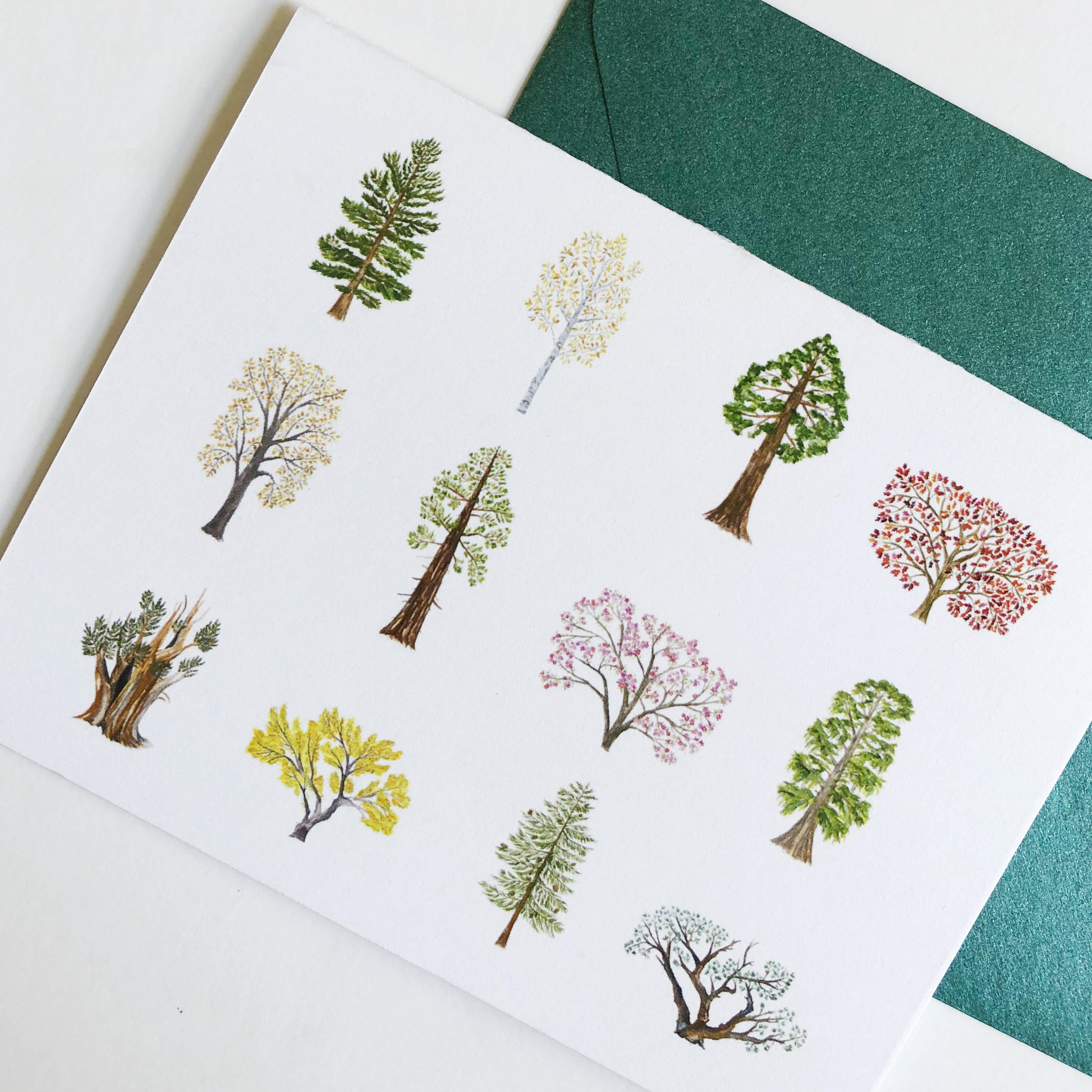 Tree Greeting Card - Etsy
