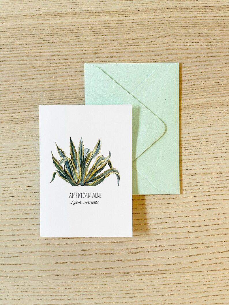 North American Plant Cards pack of 4 or Single - Etsy