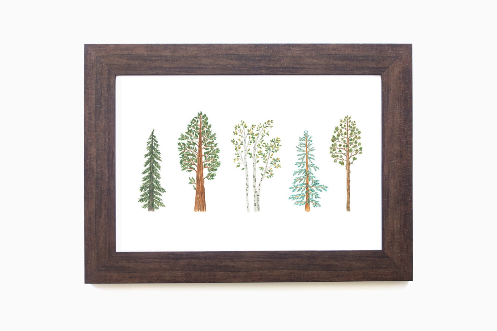 North American Tree Print - Etsy