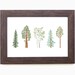 North American Tree Print - Etsy