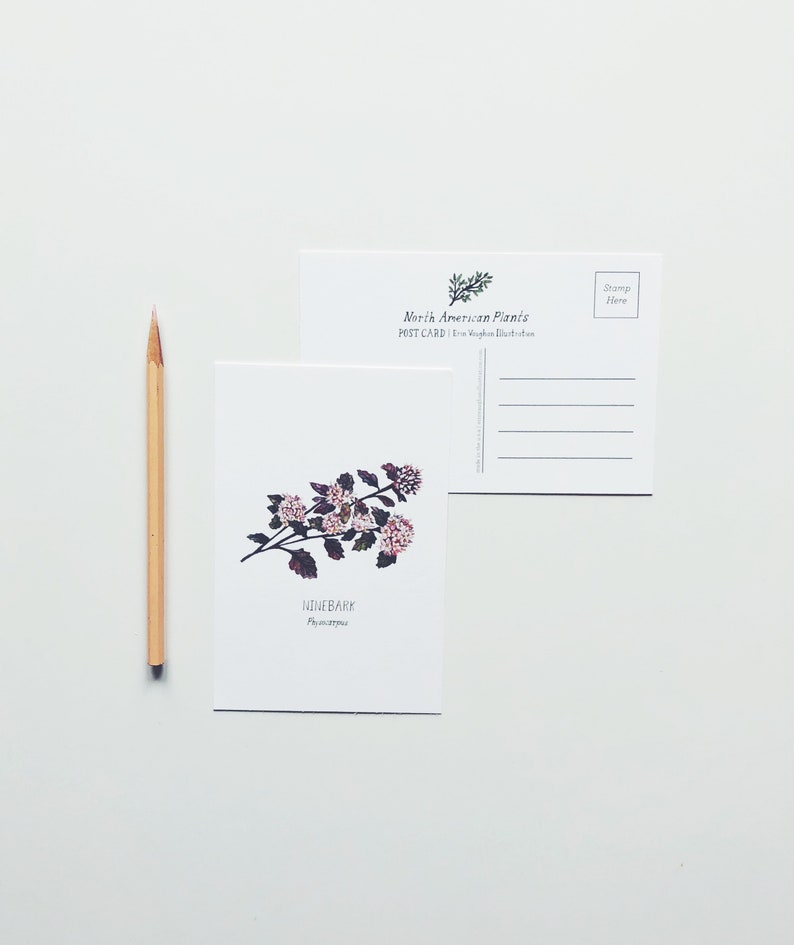 North American Plant 4x6 Postcard Pack (12 Plants) - Etsy