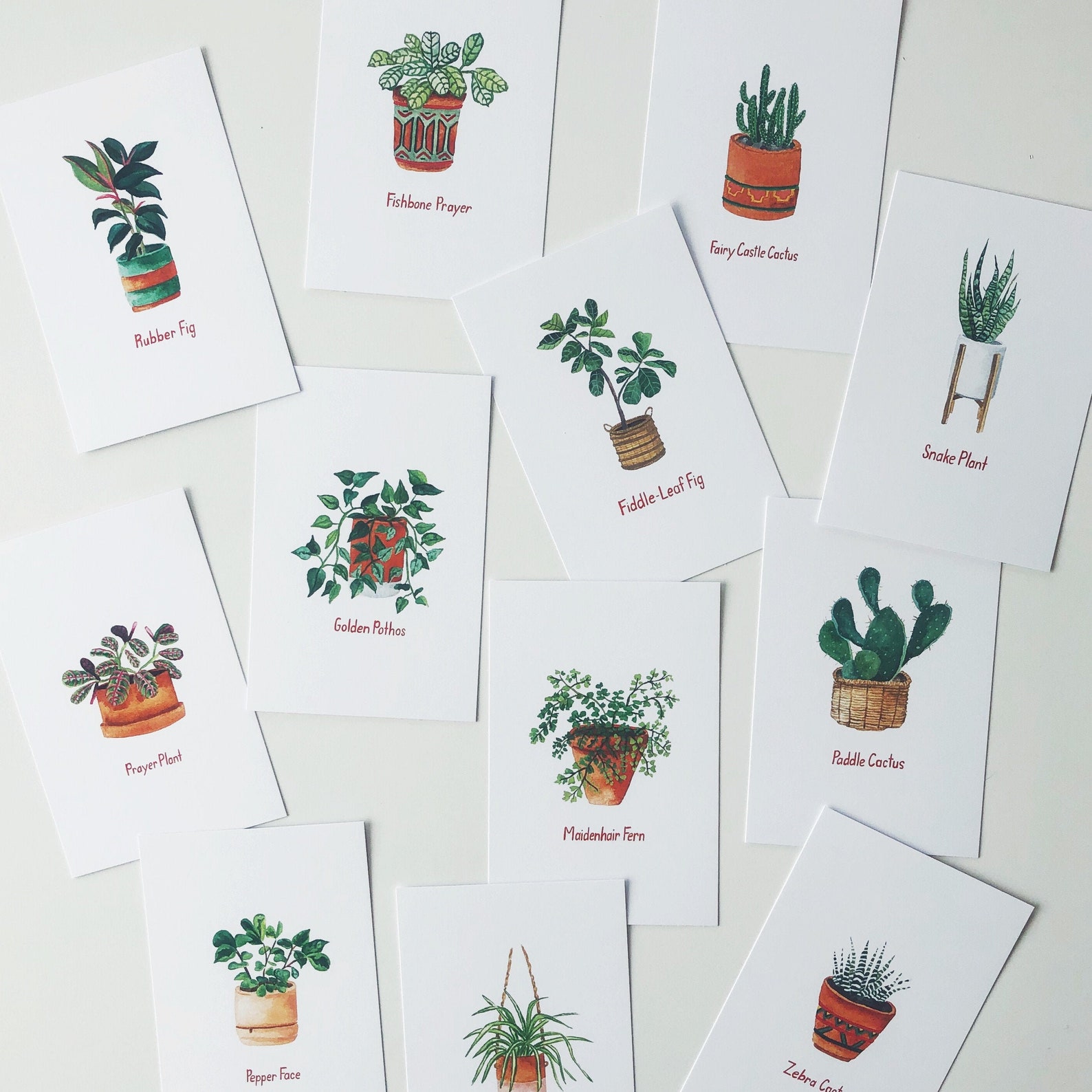 House Plant Postcard Pack of 12 4x6 Size - Etsy