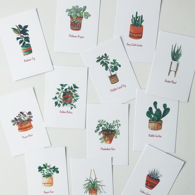 House Plant Postcard Pack of 12 4x6 Size - Etsy