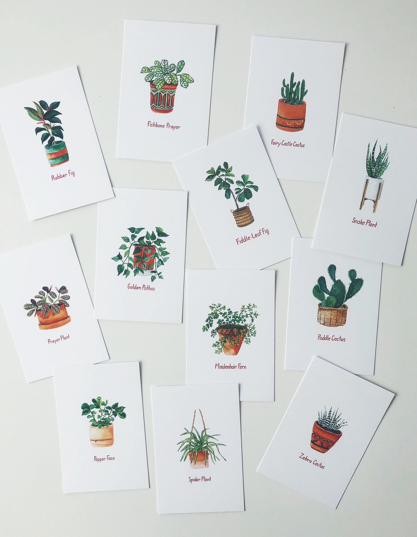 House Plant Postcard Pack of 12 4x6 Size - Etsy