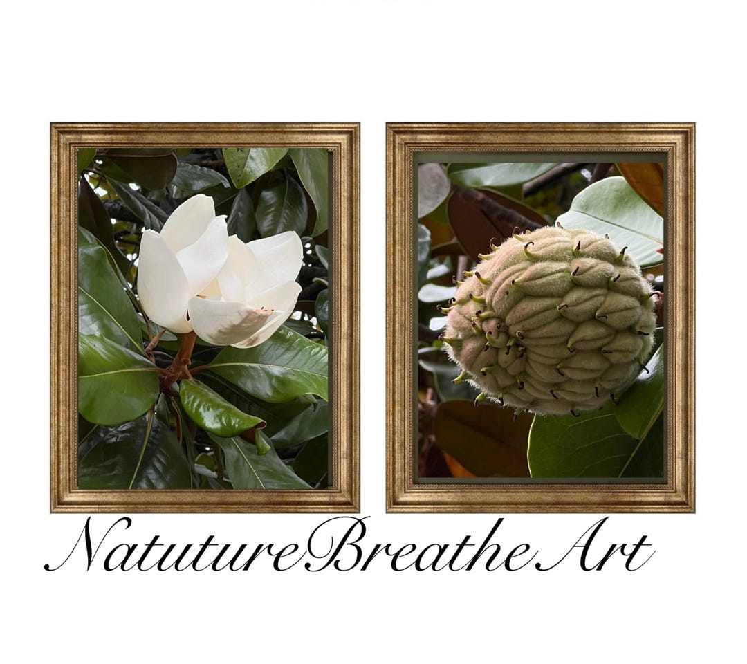 Bud and Bloom Floral Photography Set of 2| Botanical Digital Art ...