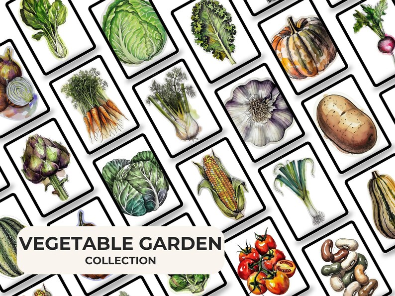 Garden Planner Stickers | Fruits, Vegetables, Herbs (digital Download ...