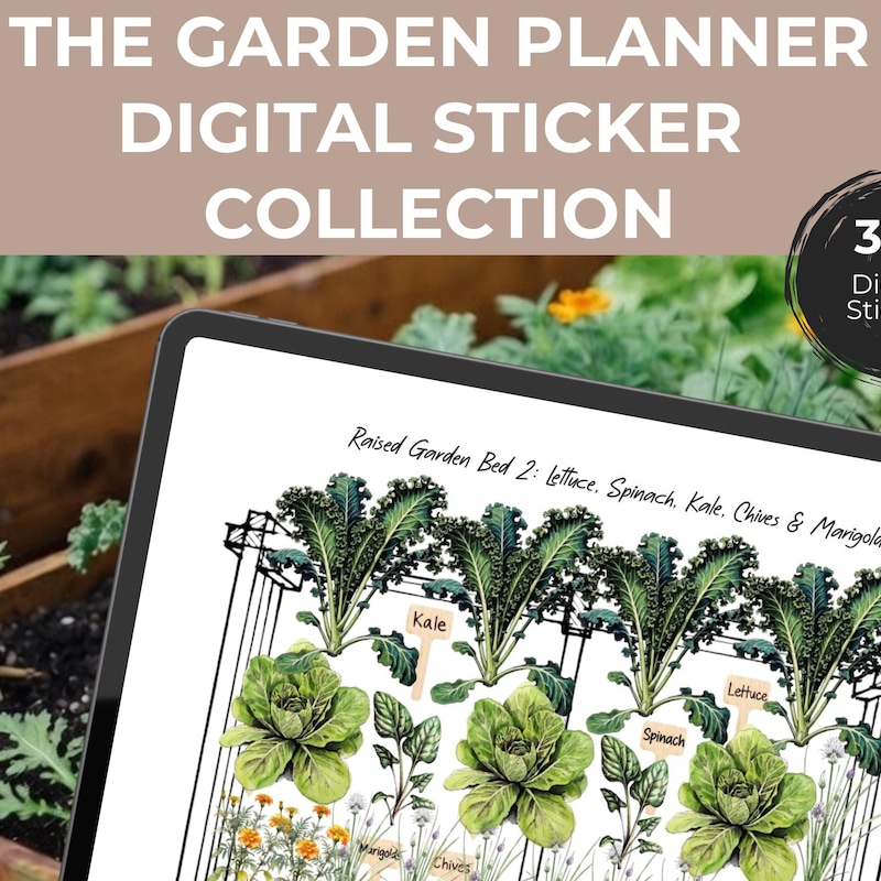 Vegetable Plants Stickers - Etsy
