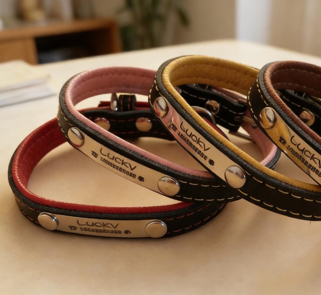 Personalized Elastic Cat Collar With Engraved Name Tag, Custom Safety ...