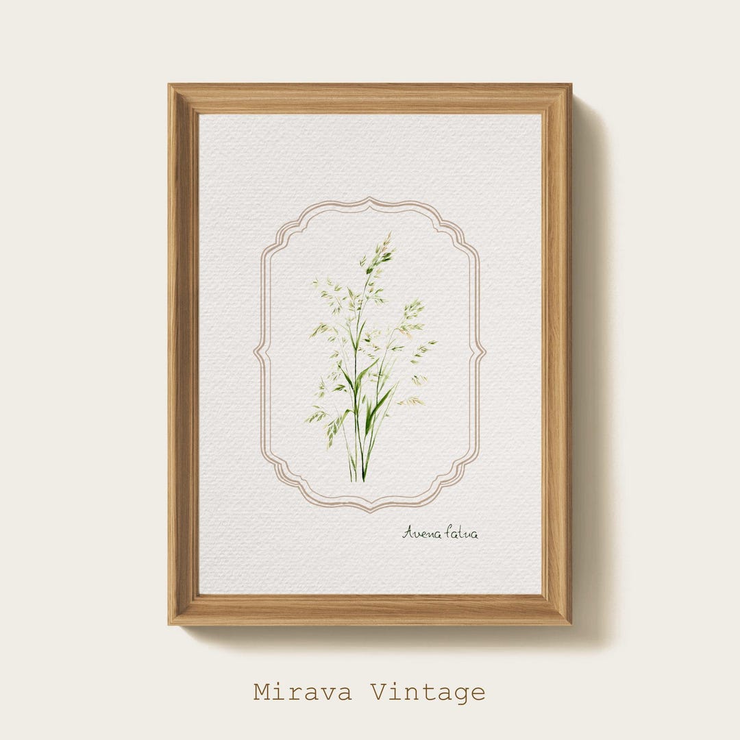 Wild Meadow Grass Botanical Print, Vintage Field Grass Herbarium Wall ...