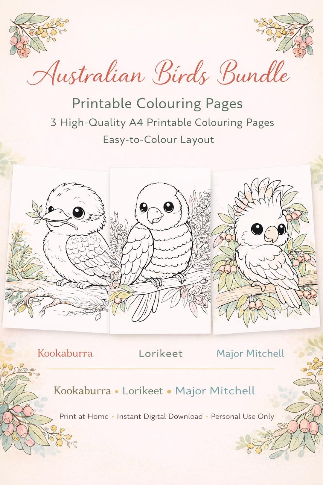 Australian Birds Colouring Pages | 3 Page Mini-bundle | Major Mitchell ...