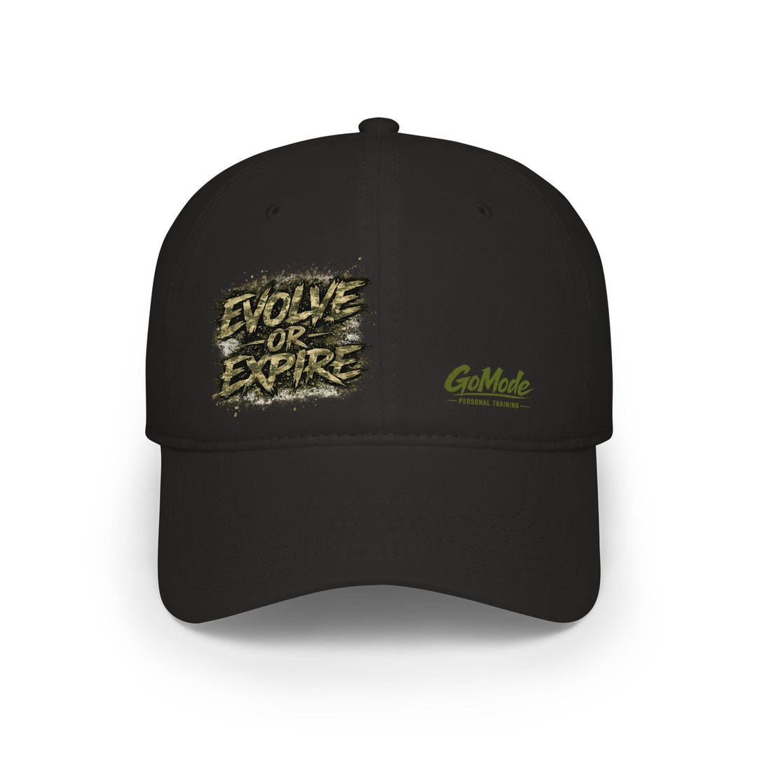Evolve or Expire Baseball Cap | Distressed Graffiti Text, Red - Etsy