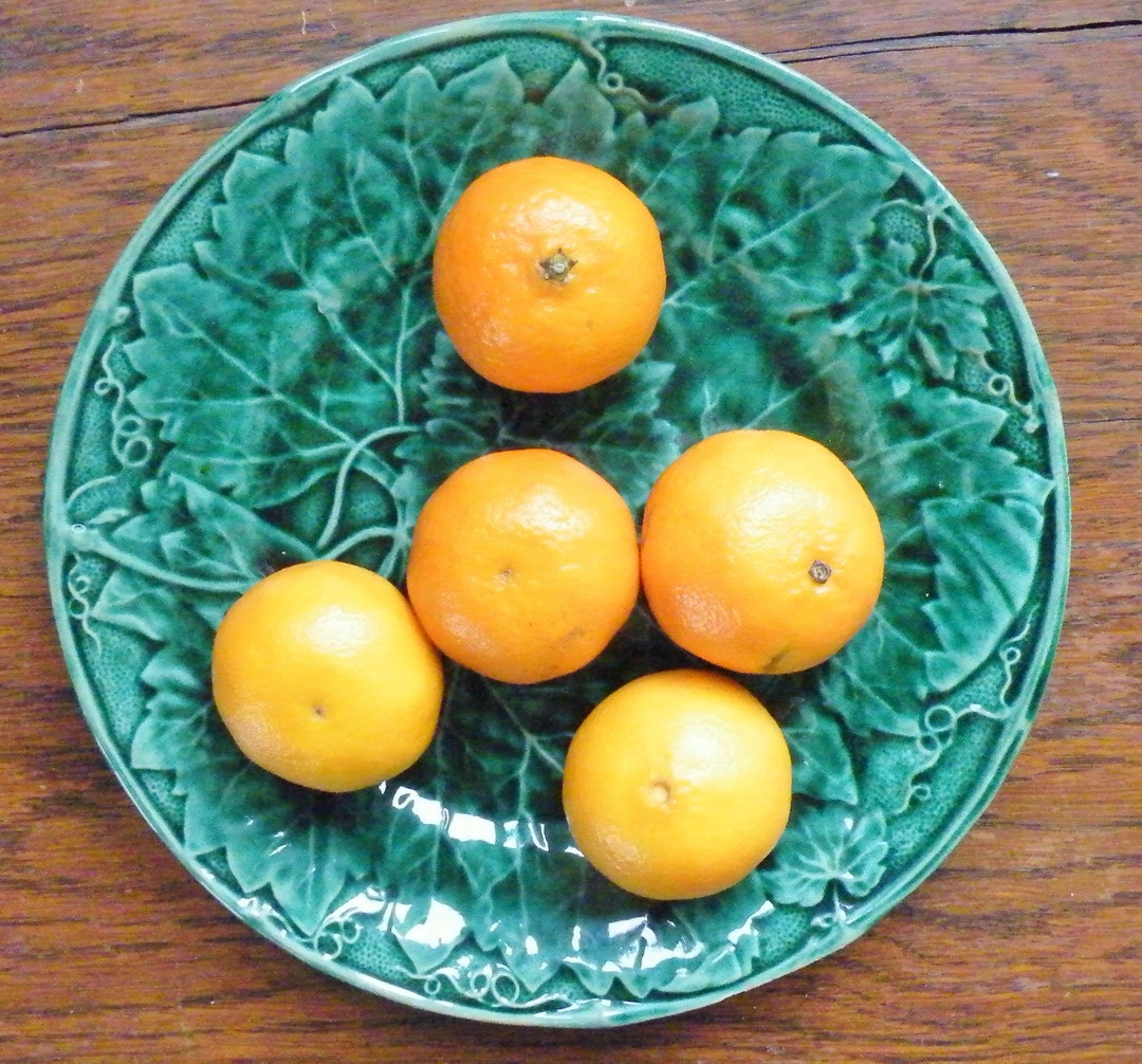 Victorian Cabbage Plate by Davenport cabbageware Majolica - Etsy