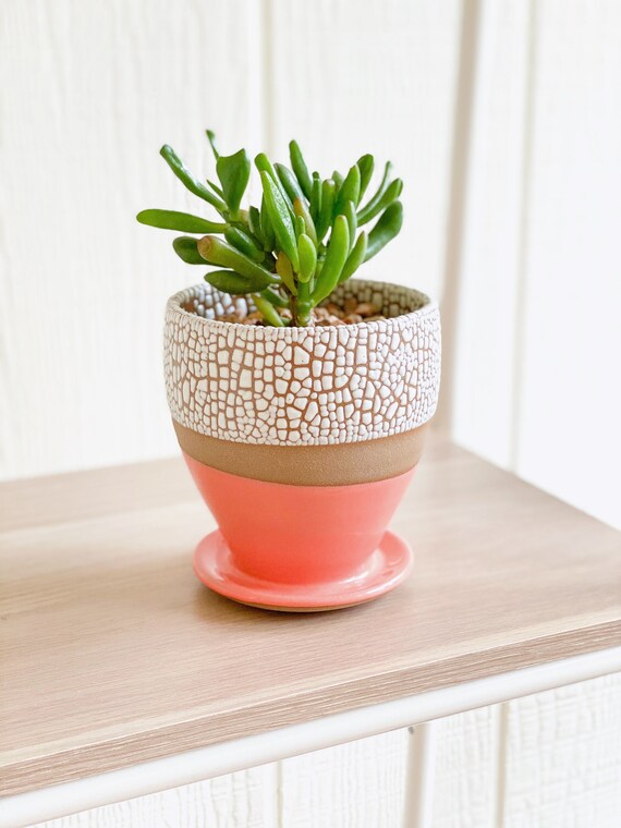 Desk Planter - Etsy