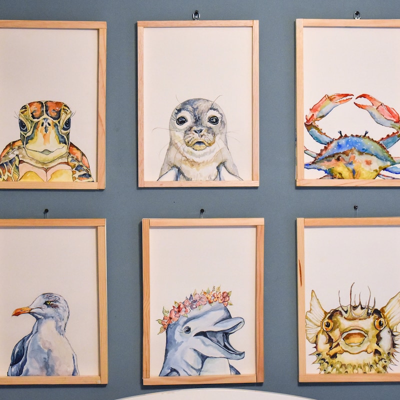 Ocean Animal Art - Etsy