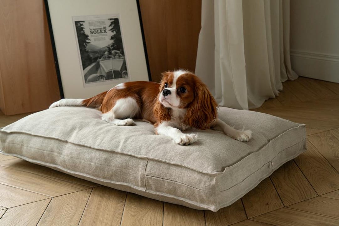 Large Linen Dog Bed With Wool Pillow, Removable Cover - Etsy